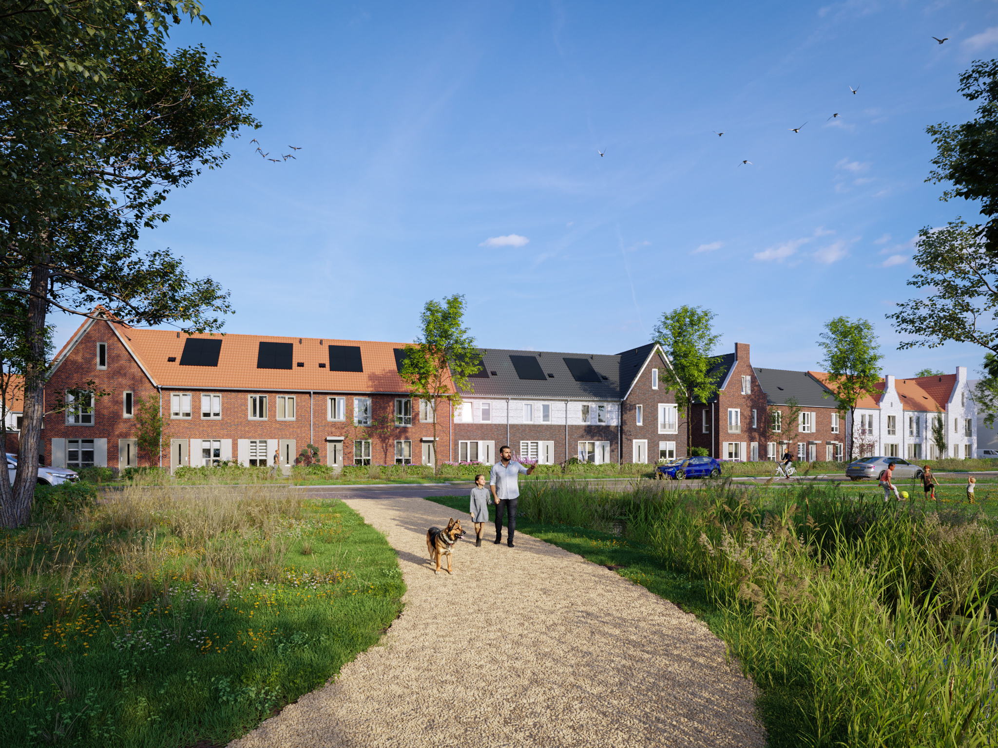 Harderweide | Nieuwbouw in Harderwijk