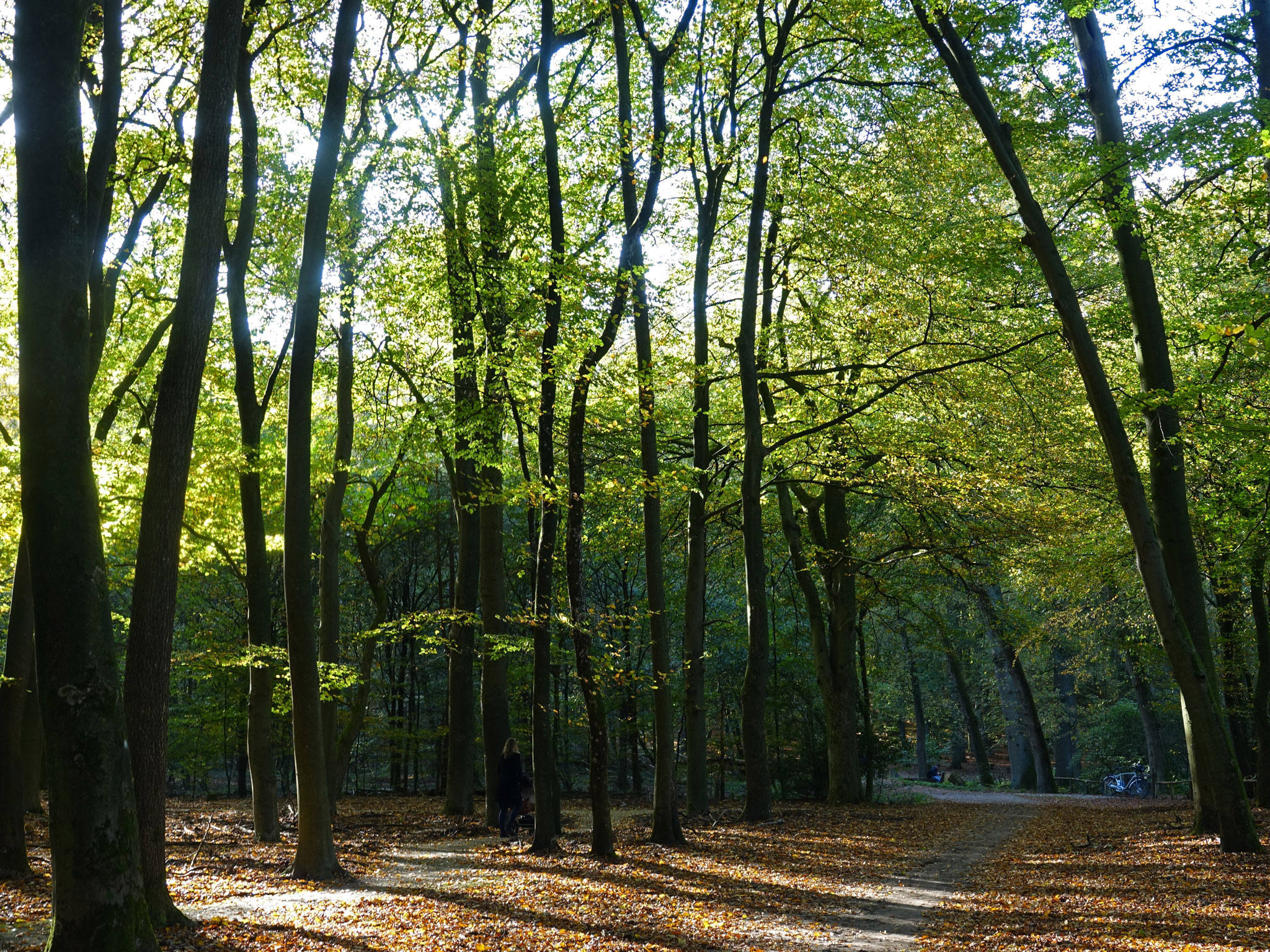 Is De Weide Veluwe jouw plek?